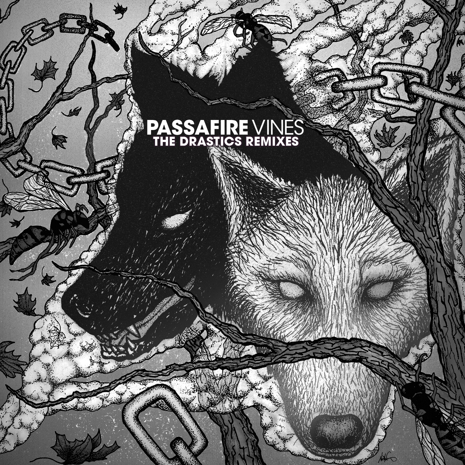 Albums Passafire